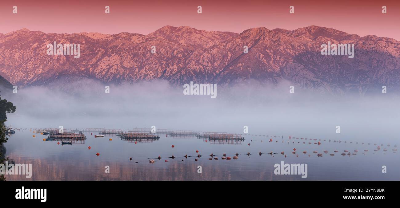 Round fish farm cages floating in the bay of Kotor, Montenegro, at ...