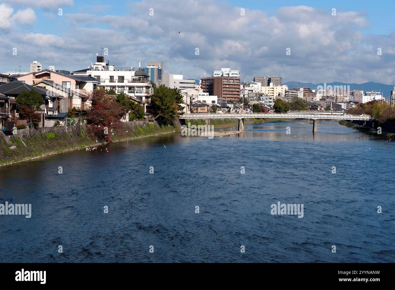 Kamogawa bridge hi-res stock photography and images - Alamy