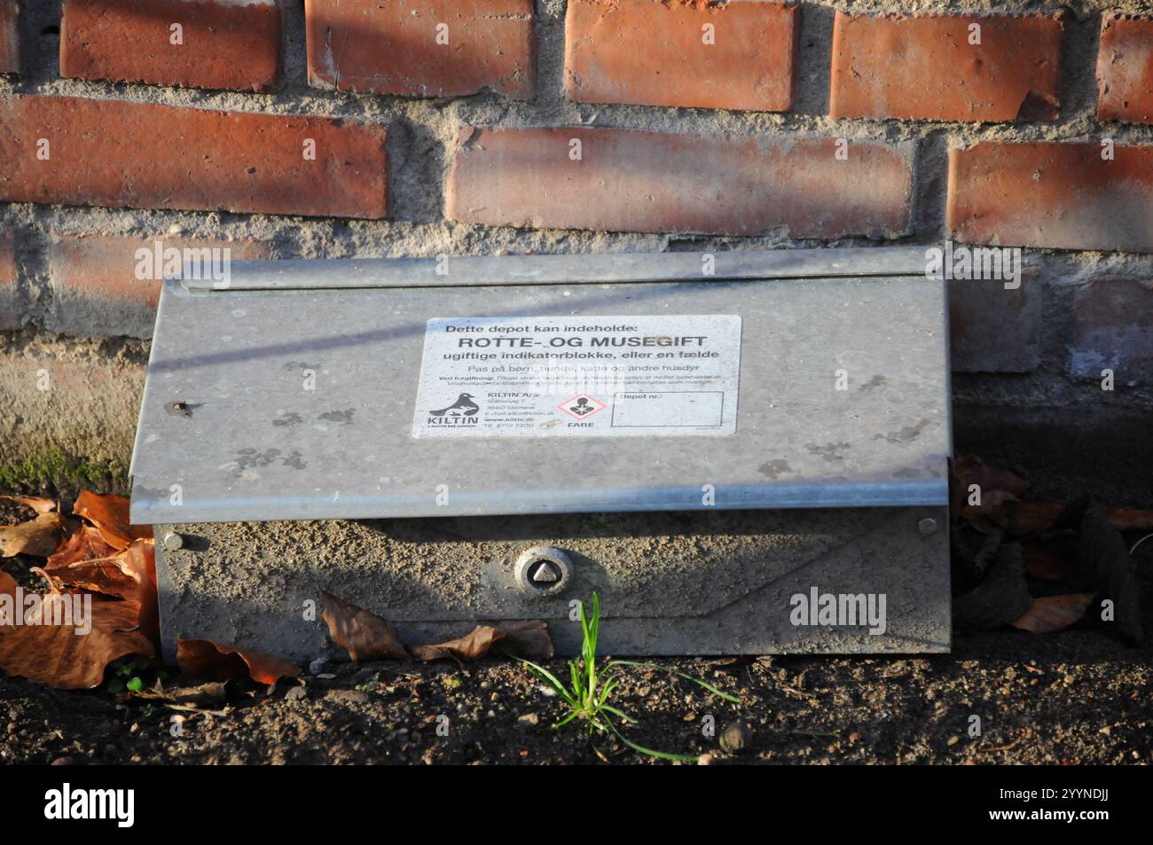 Copenhagen/ DenmarK/22 DECEMBER 2024/ mouse and rats checher box among ...