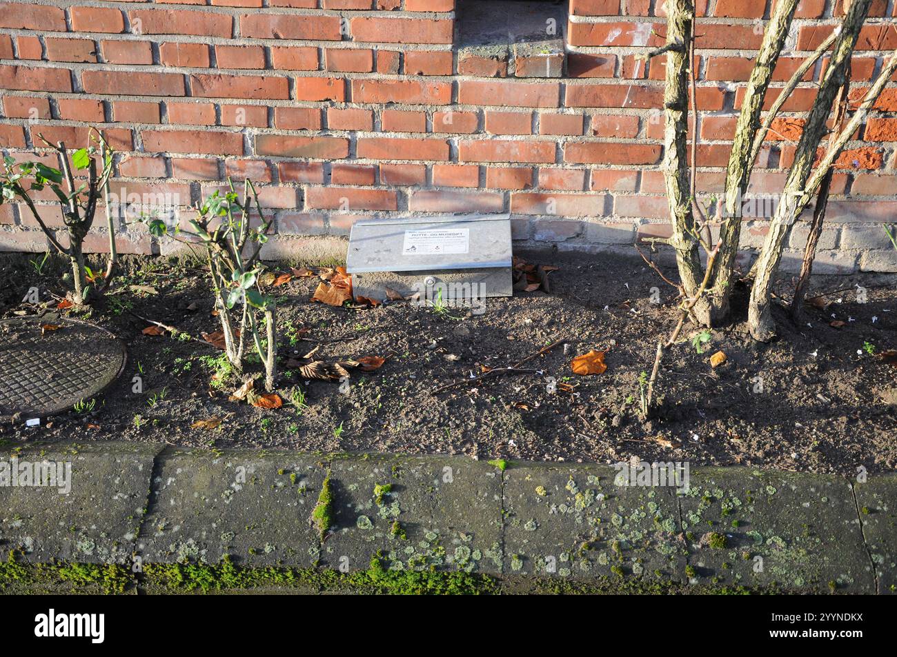 Copenhagen/ DenmarK/22 DECEMBER 2024/ mouse and rats checher box among ...