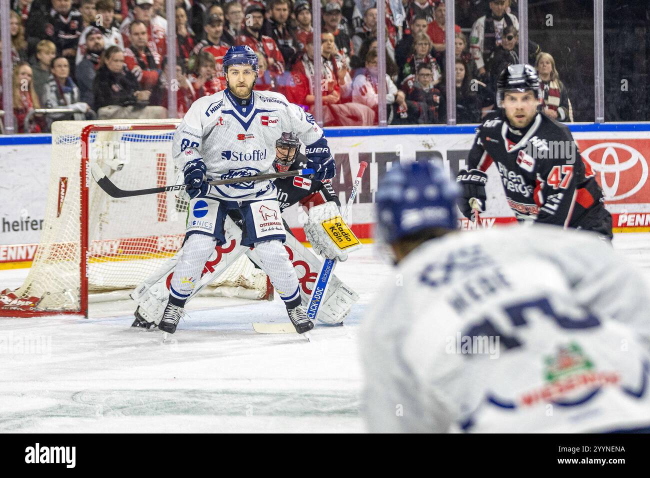 JC Lipon (Straubing Tigers, #88) wartet vor dem Tor der Koelner Hai auf ...