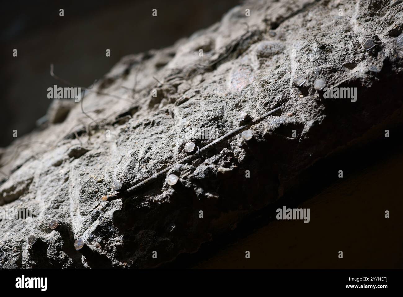 A Detailed CloseUp Photograph of Dust and Cobwebs Accumulated on a ...