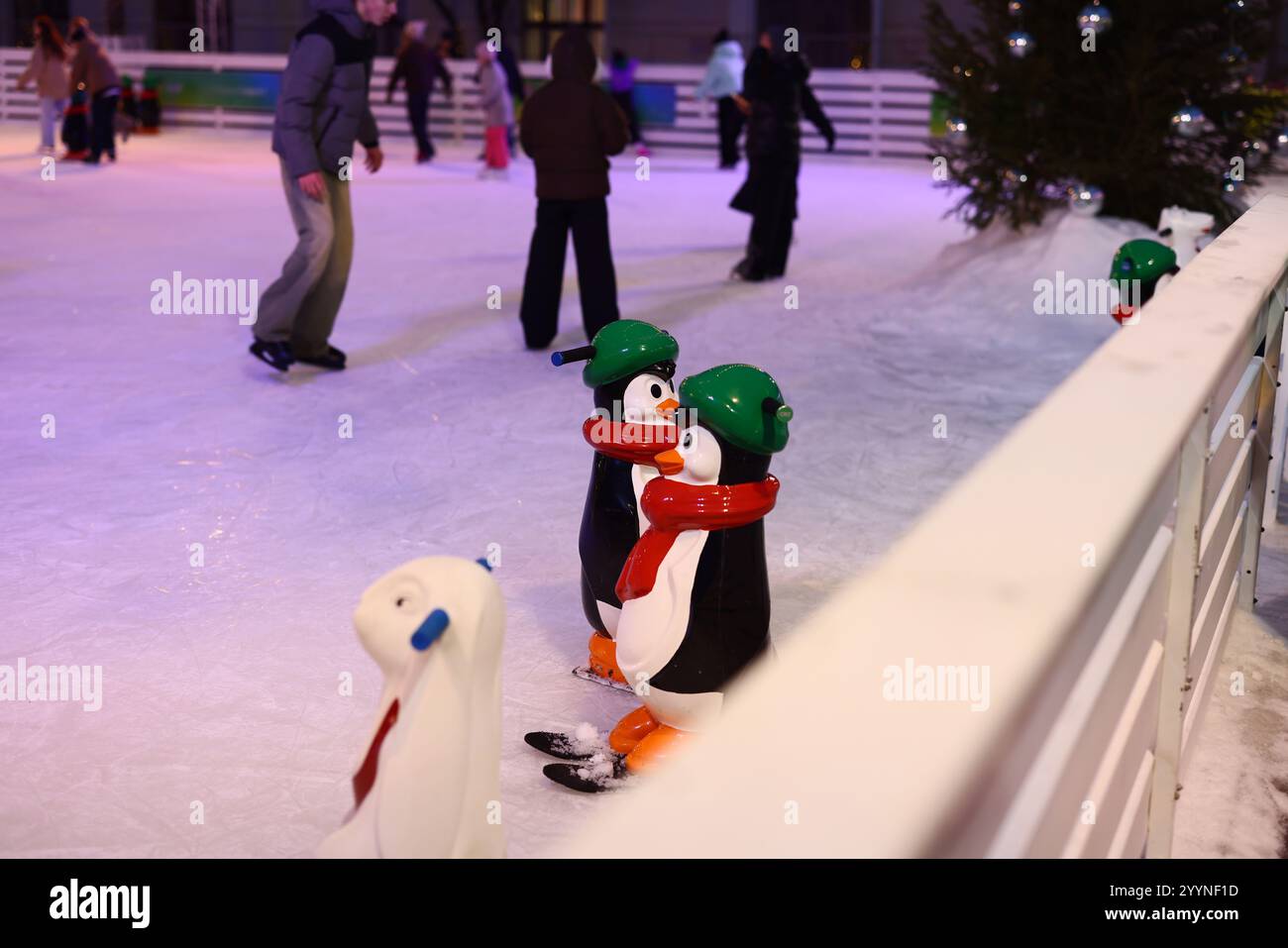It was a super fun and exciting day at the wonderful ice skating rink ...