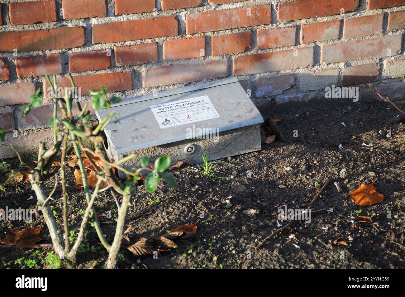 Copenhagen/ DenmarK/22 DECEMBER 2024/ mouse and rats checher box among ...