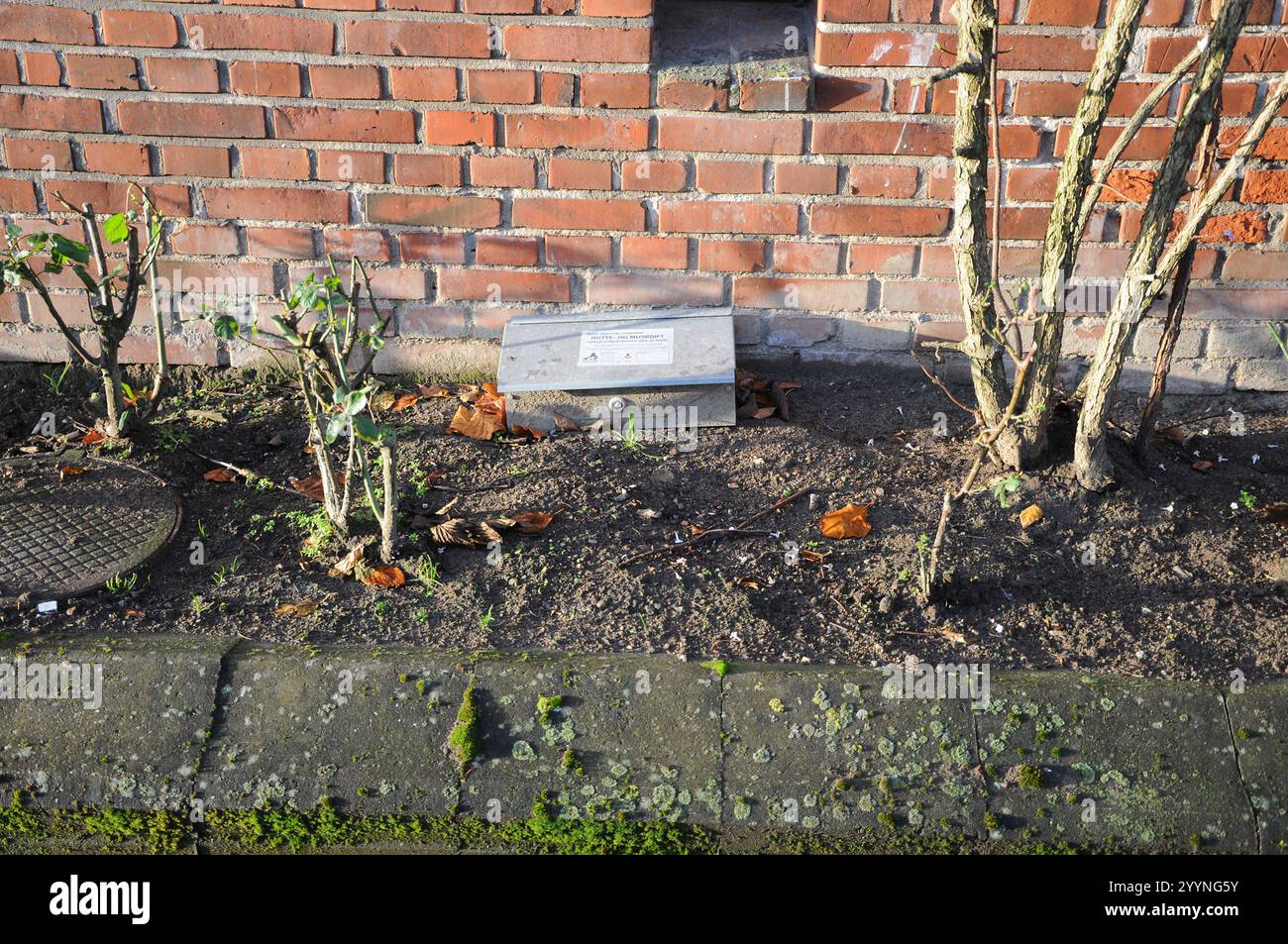 Copenhagen/ DenmarK/22 DECEMBER 2024/ mouse and rats checher box among ...