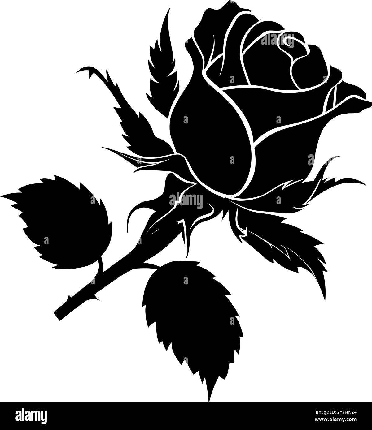 black rose - vector illustration Stock Vector Image & Art - Alamy