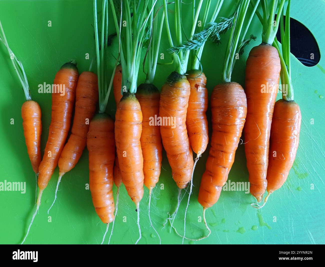 Unusual shaped carrots hi-res stock photography and images - Alamy