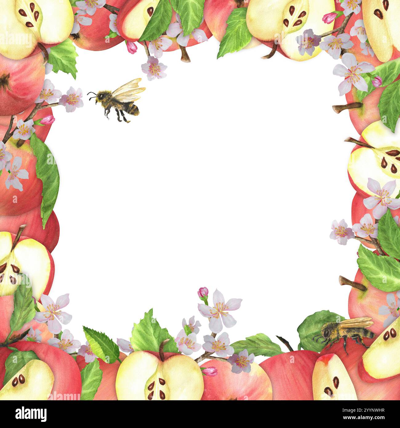 Square frame with red apples, white blossoms, honeybees and green ...
