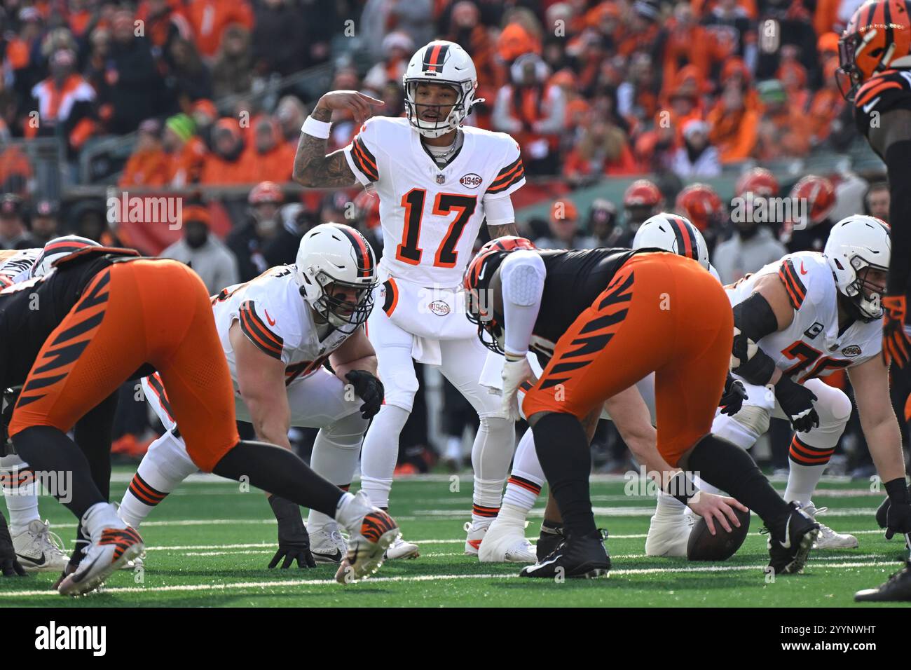 DETROIT, MI - DECEMBER 22: Cleveland Browns QB Dorian Thompson-Robinson ...