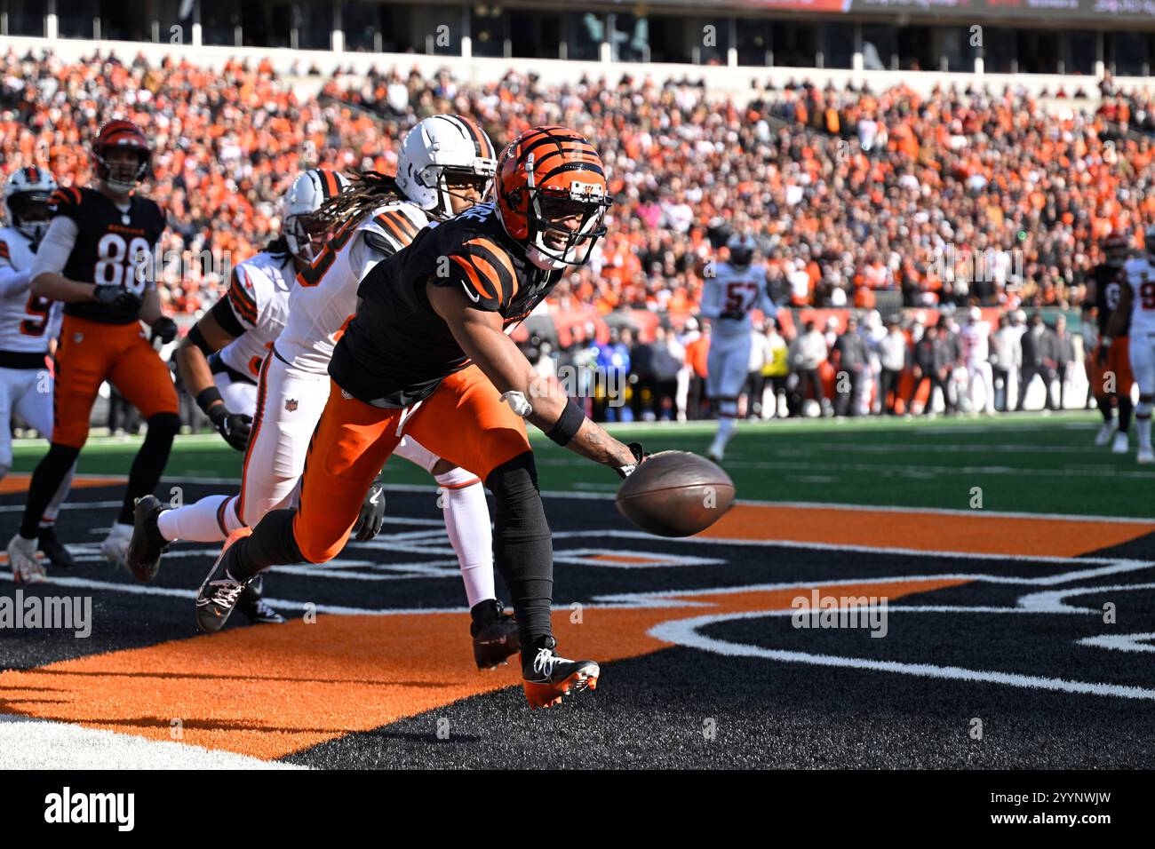 DETROIT, MI - DECEMBER 22: A paa intended for Cincinnati Bengals Wide ...