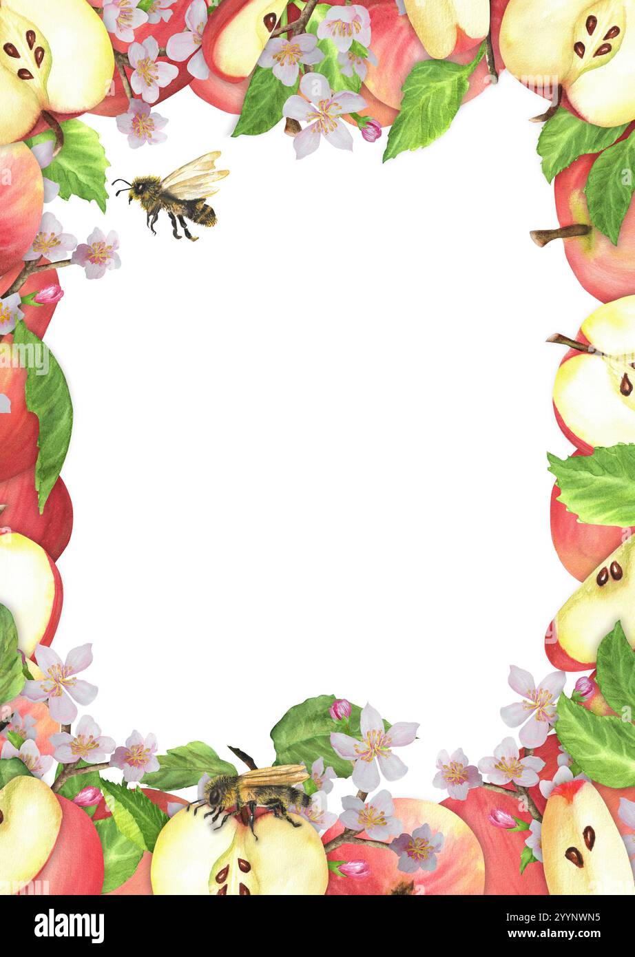 Rectangular frame with red apples, white blossoms, honeybees and green ...