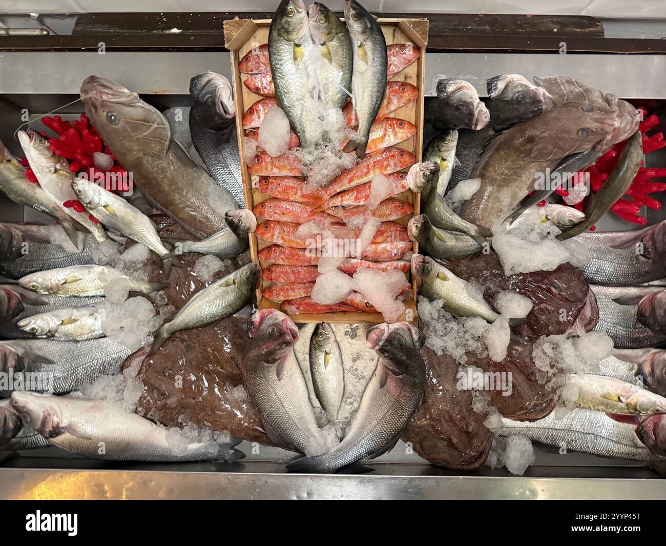 Fish shop at restaurant, mixed type fish and fish stand. Ready to sell ...