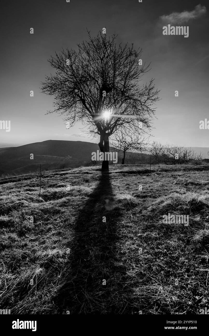 Casting rolling Black and White Stock Photos & Images - Alamy