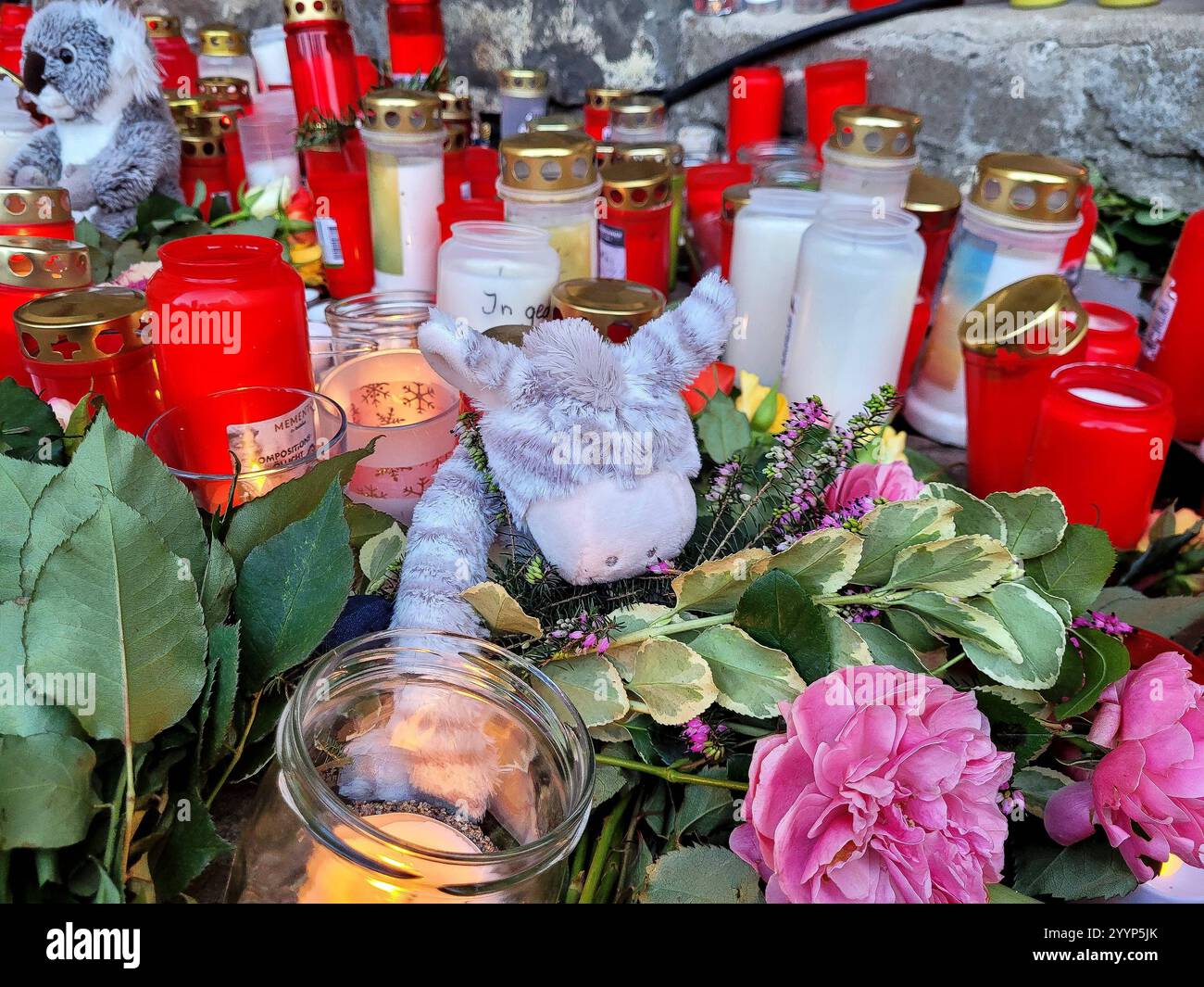Gedenken an die Opfer von Magdeburg Magdeburg, 22.12.2024 Teddys ...