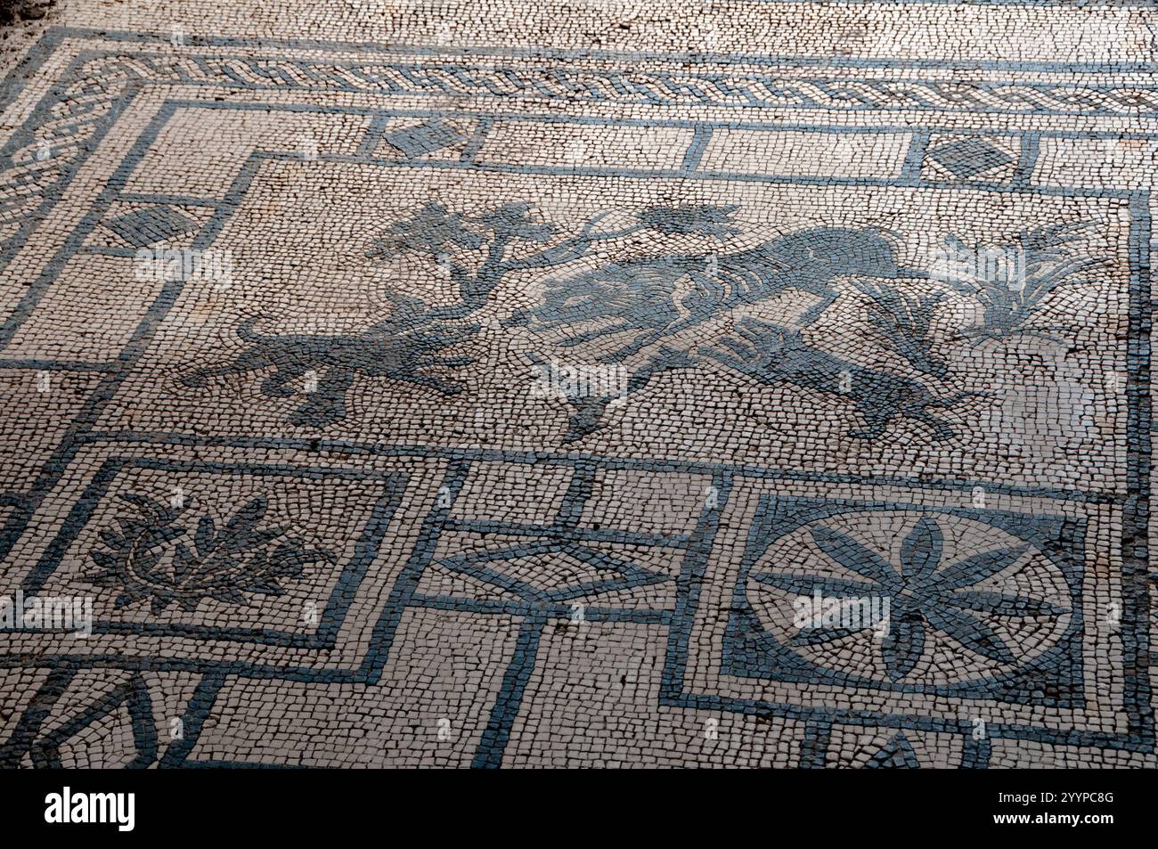 Mosaic floor in a noble villa in Pompeii Stock Photo - Alamy