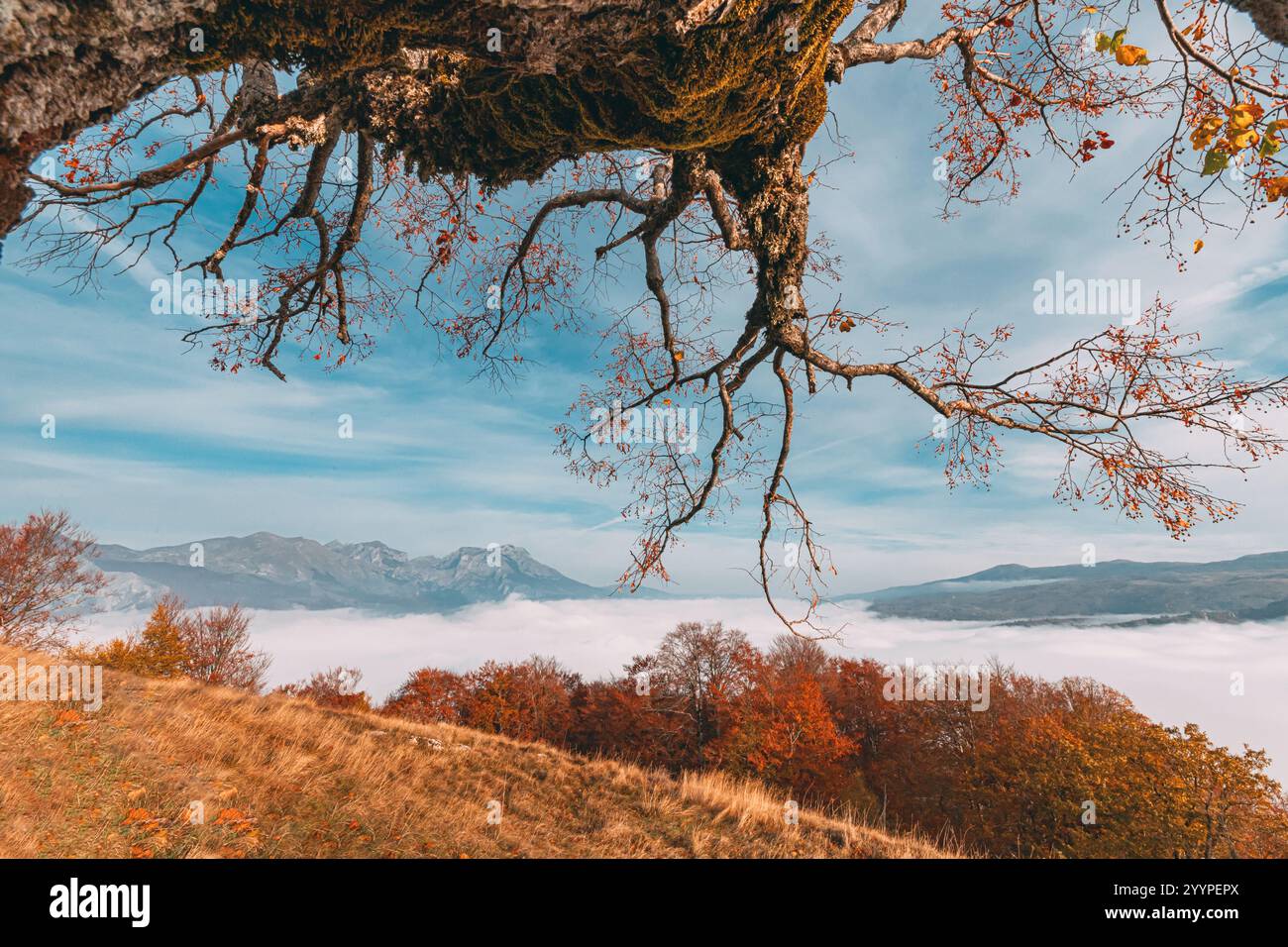 Stunning autumn landscape with vibrant foliage and low clouds ...