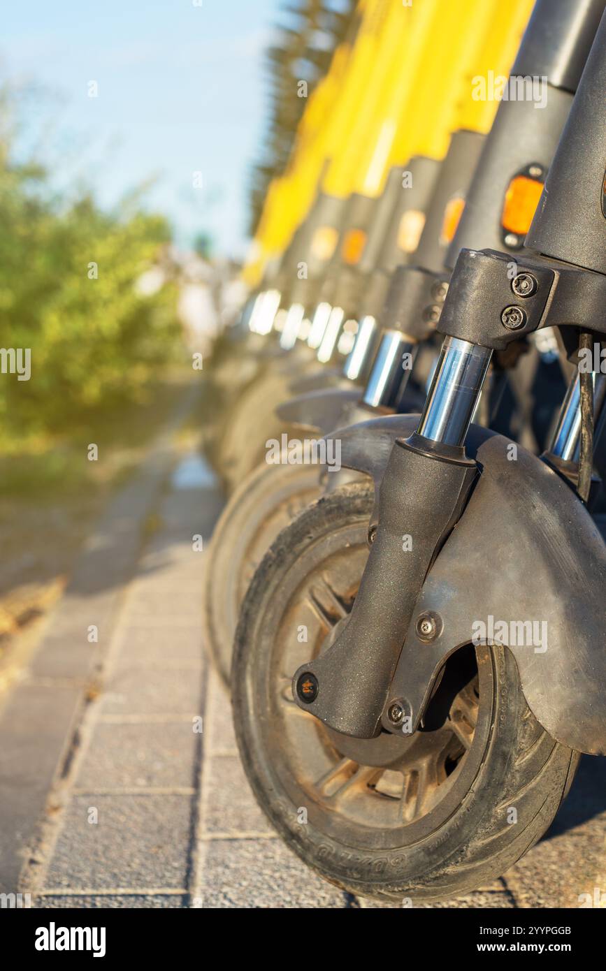 Bright yellow electric scooters for rent stand in the city park. The ...
