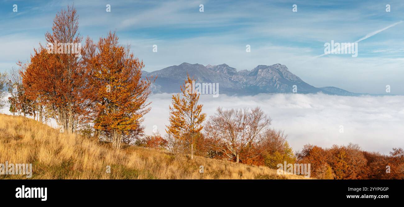 Vibrant fall foliage adorns a mountain slope, with a sea of clouds obscuring the valley below ...