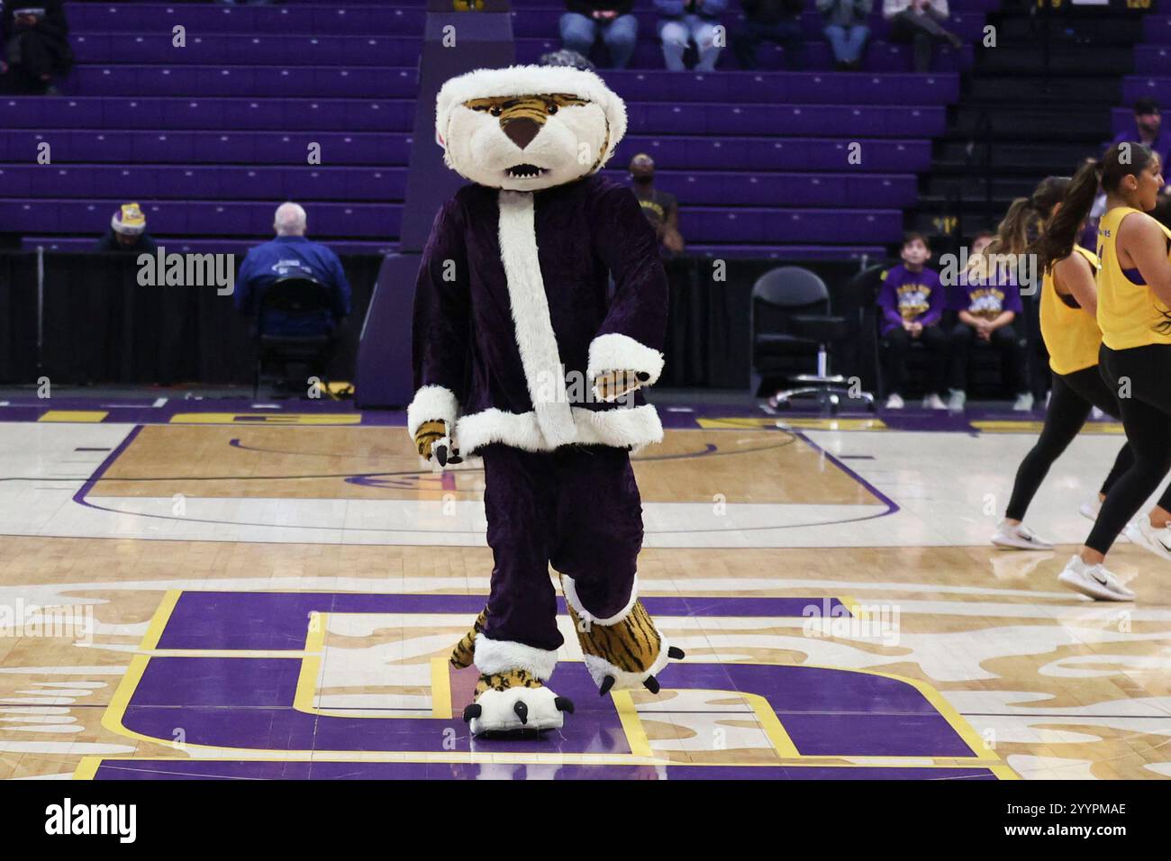 Baton Rouge, United States. 22nd Dec, 2024. LSU Tigers mascot Mike the ...