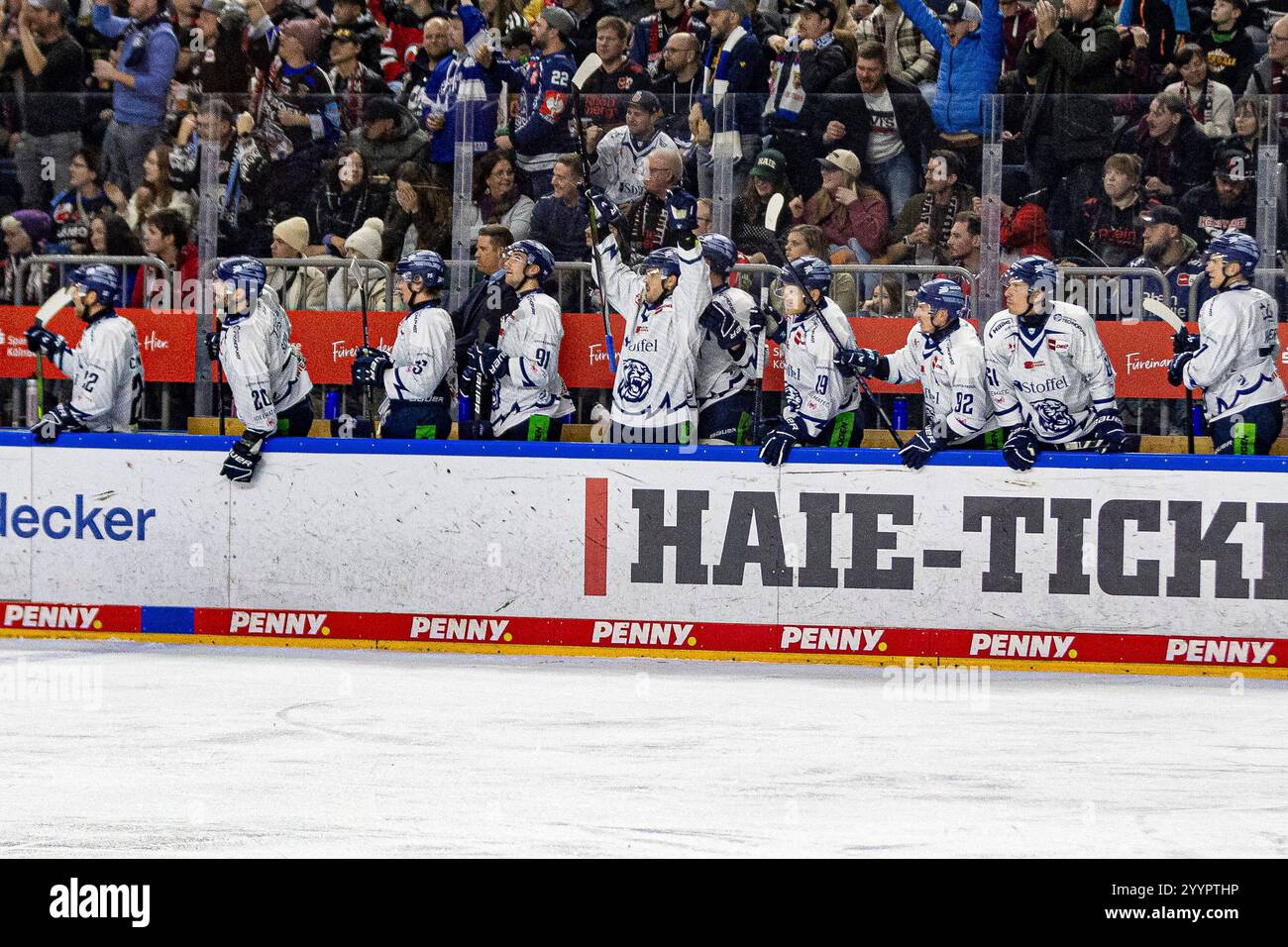 Koeln, Deutschland. 22nd Dec, 2024. Die Spieler der Straubing Tigers ...