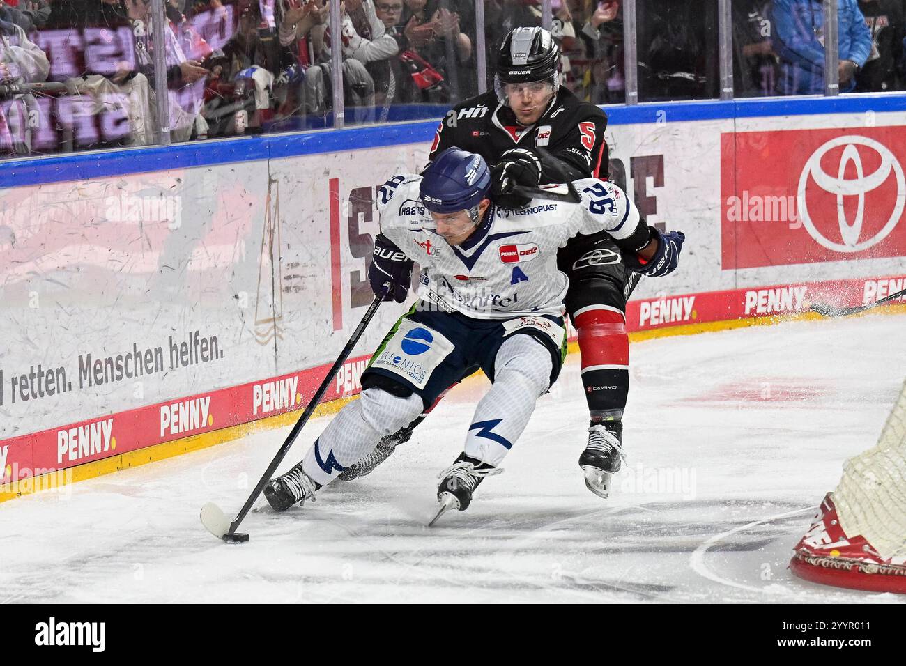 Eishockey DEL - 24/25 - 29. Spieltag: Kölner Haie vs Straubing Tigers ...