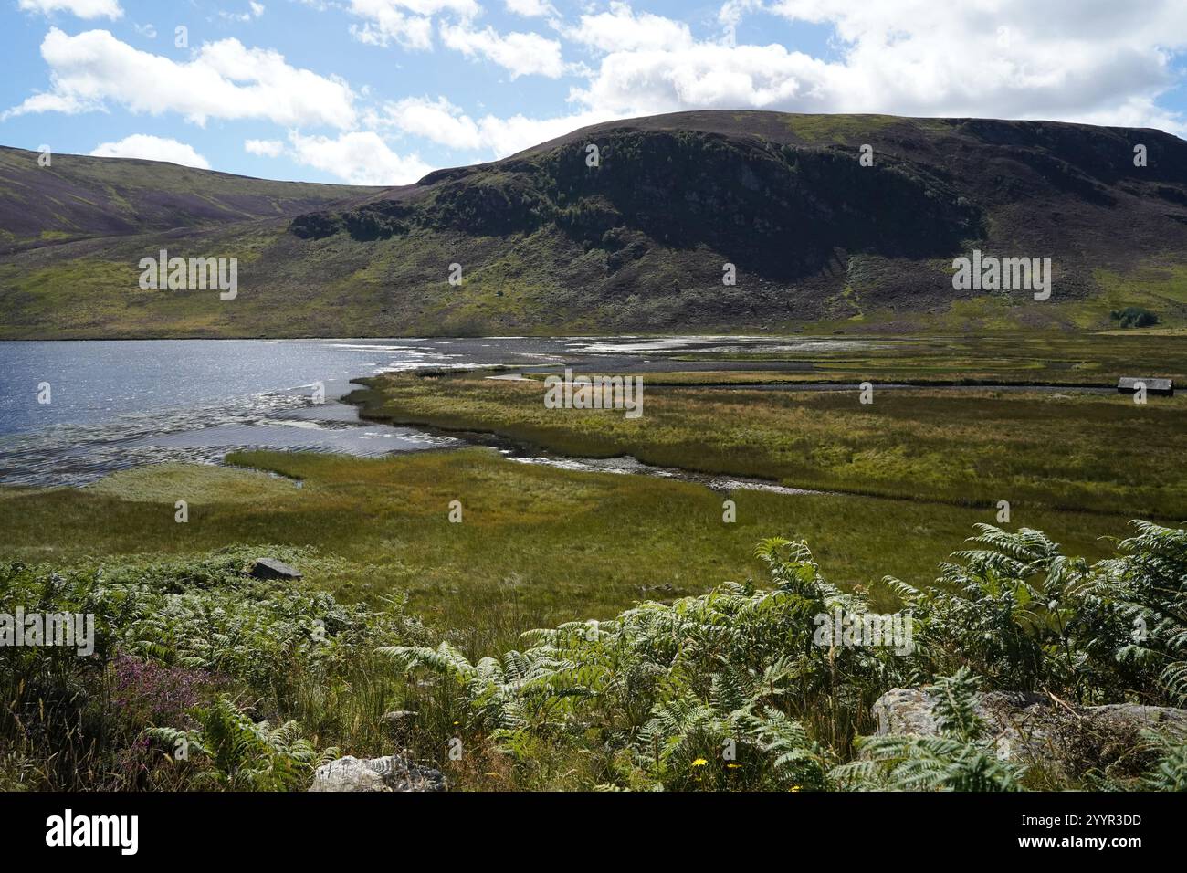 Water of Lee Stock Photo - Alamy