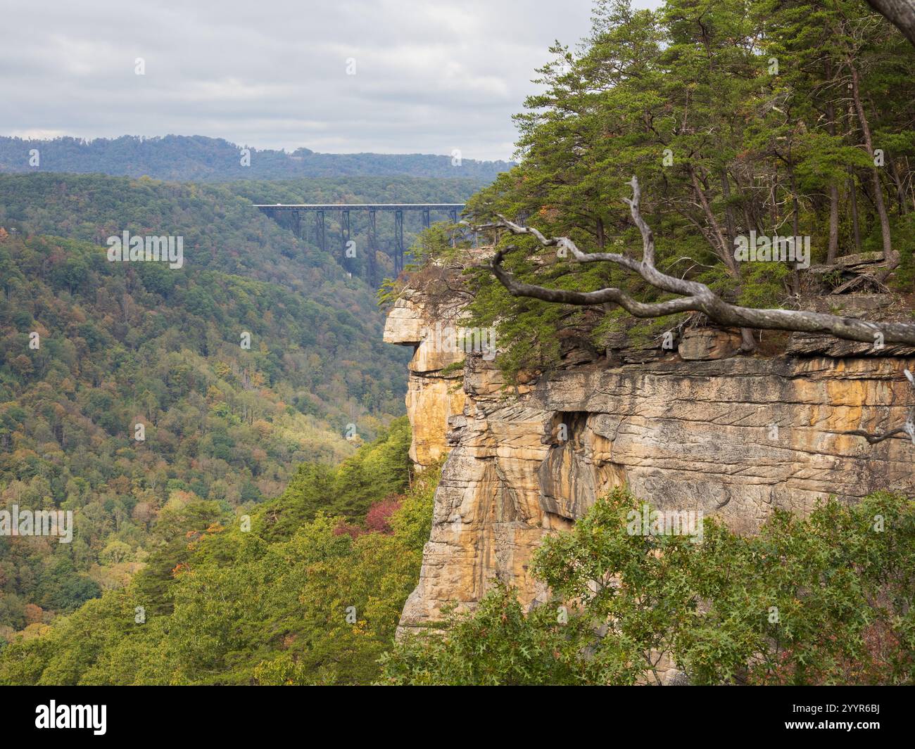 The New River Gorge Bridge stands tall in the distance at the national ...