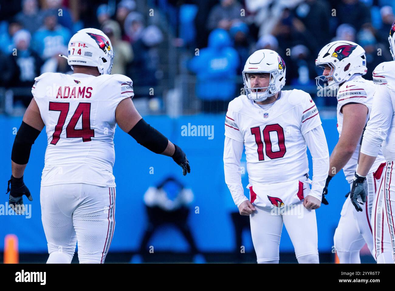 Charlotte, NC, USA. 22nd Dec, 2024. Arizona Cardinals punter Michael ...