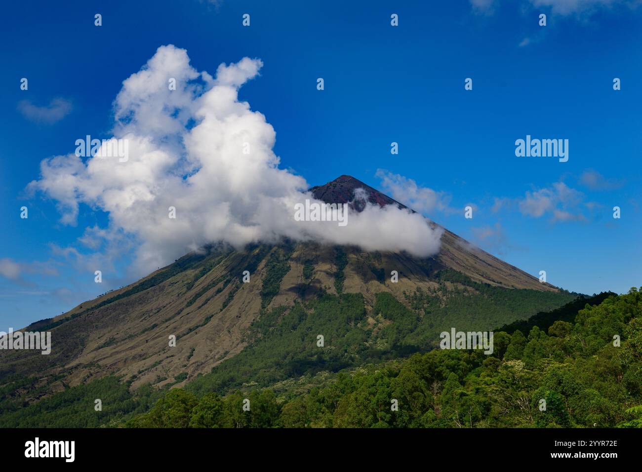 Inierie hi-res stock photography and images - Alamy