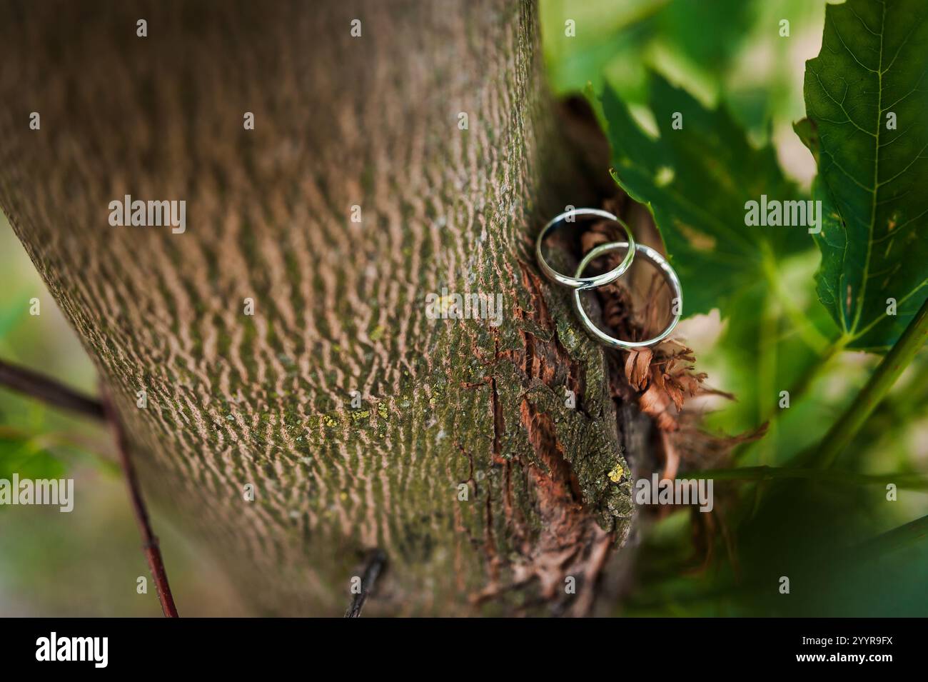 Union of love hi-res stock photography and images - Alamy