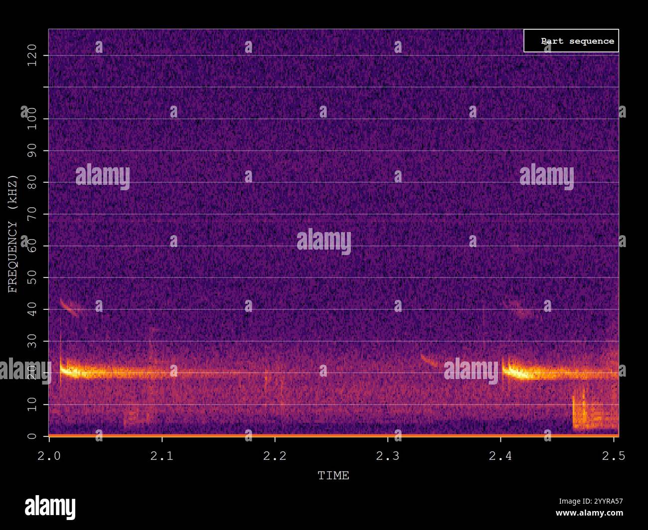 Common Noctule (Nyctalus noctula Stock Photo - Alamy