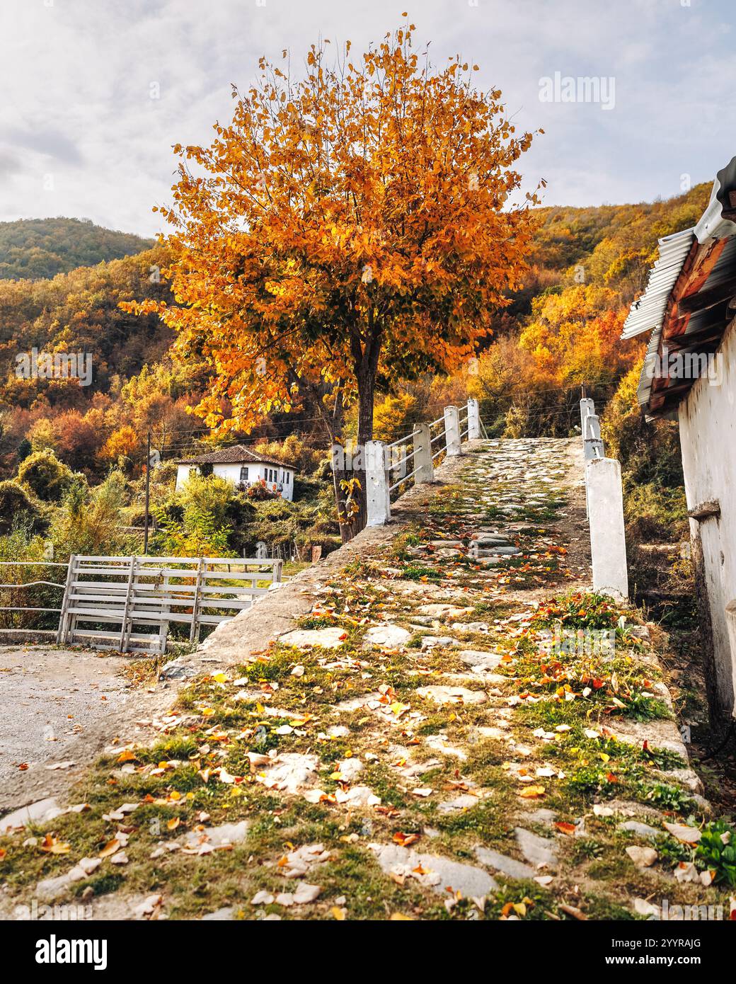 Medusa Greek pomak villages near Xanthi, beautiful scenery and minaret ...