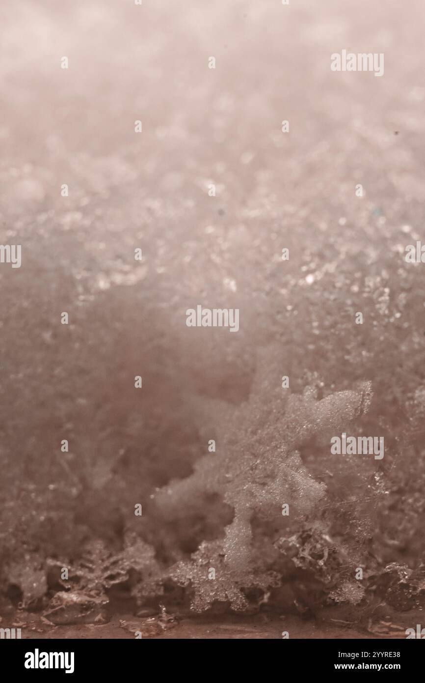 pantone palette. Photo of real snowflakes during a snowfall, under ...