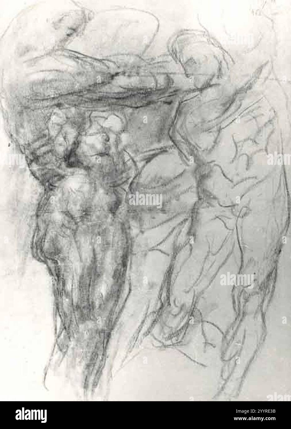 Paciurea hi-res stock photography and images - Alamy