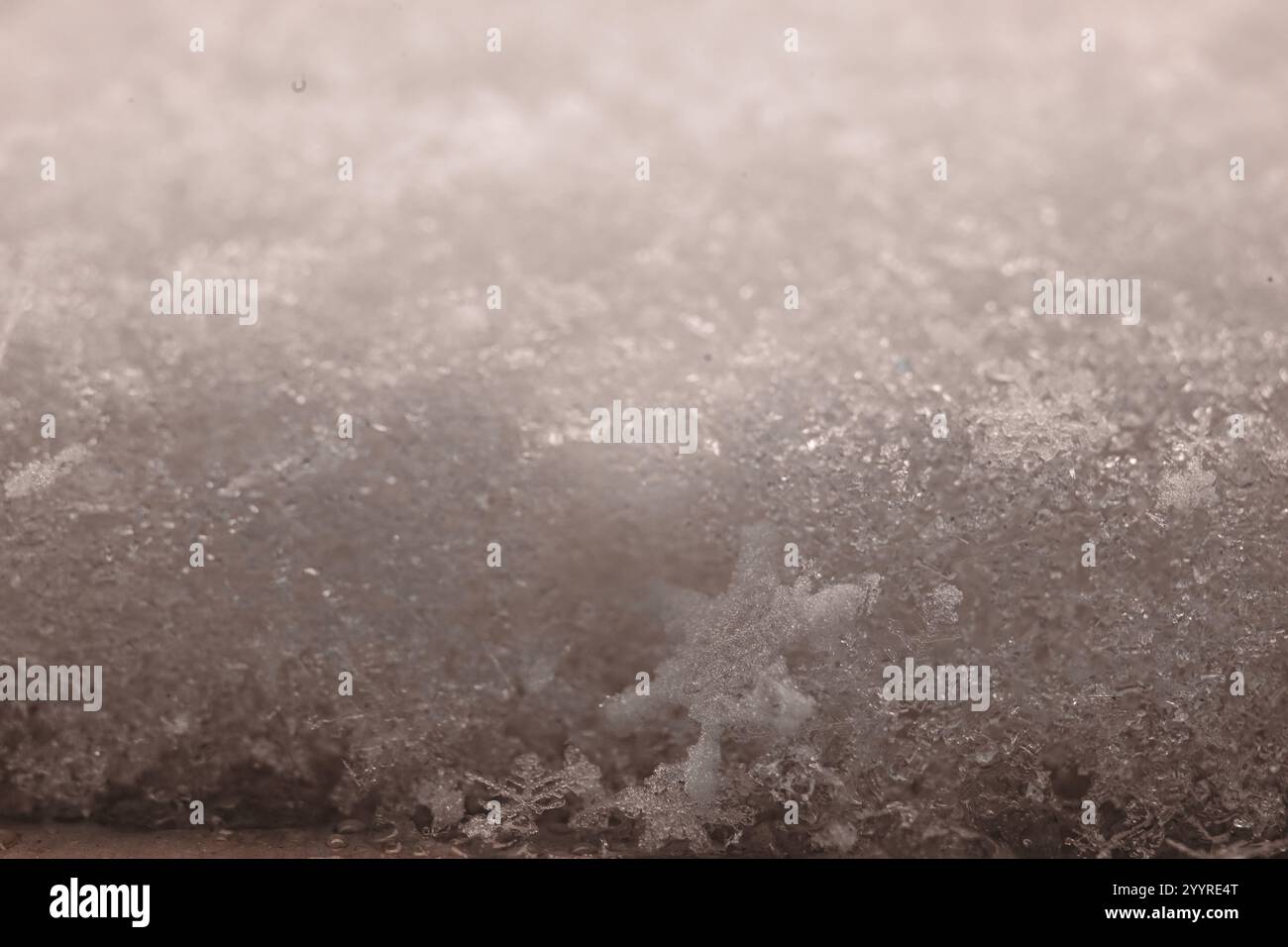 Natural snowflakes on snow. Photo of real snowflakes during a snowfall ...