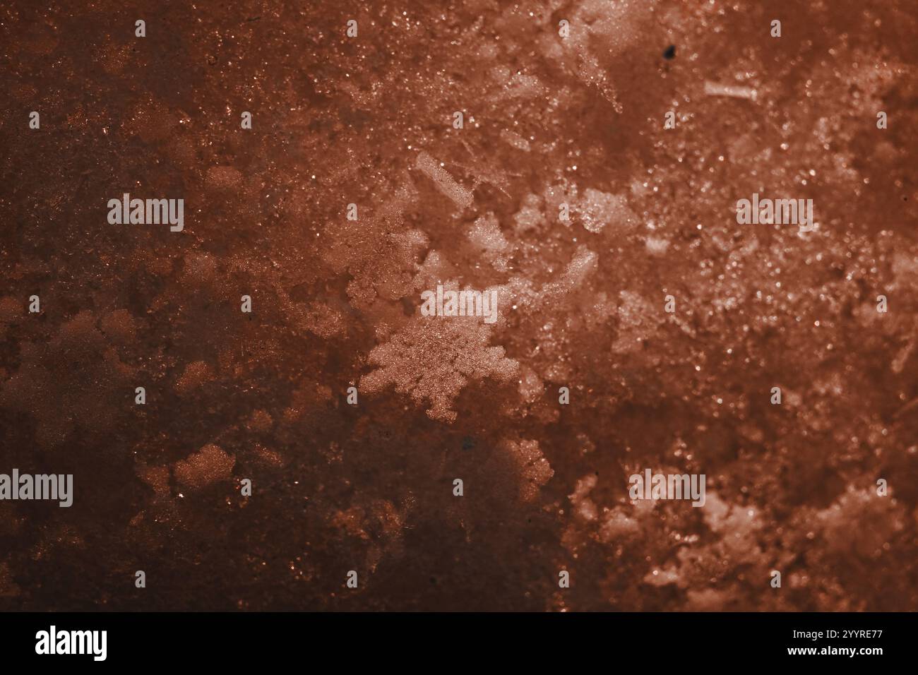 pantone tone. Natural snowflakes on snow. Photo of real snowflakes ...