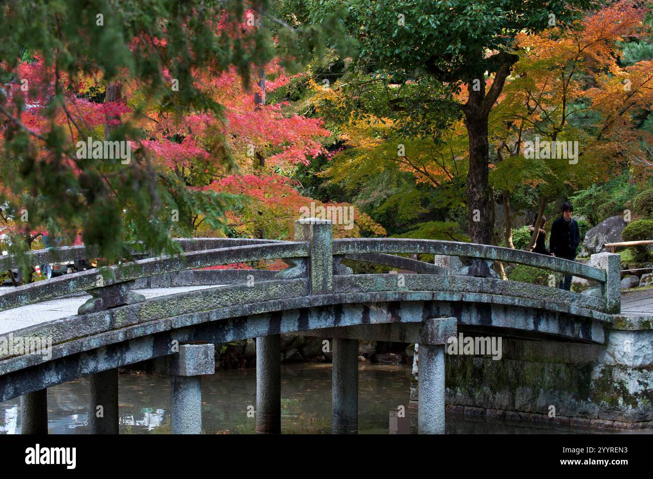 Chionin compound hi-res stock photography and images - Alamy