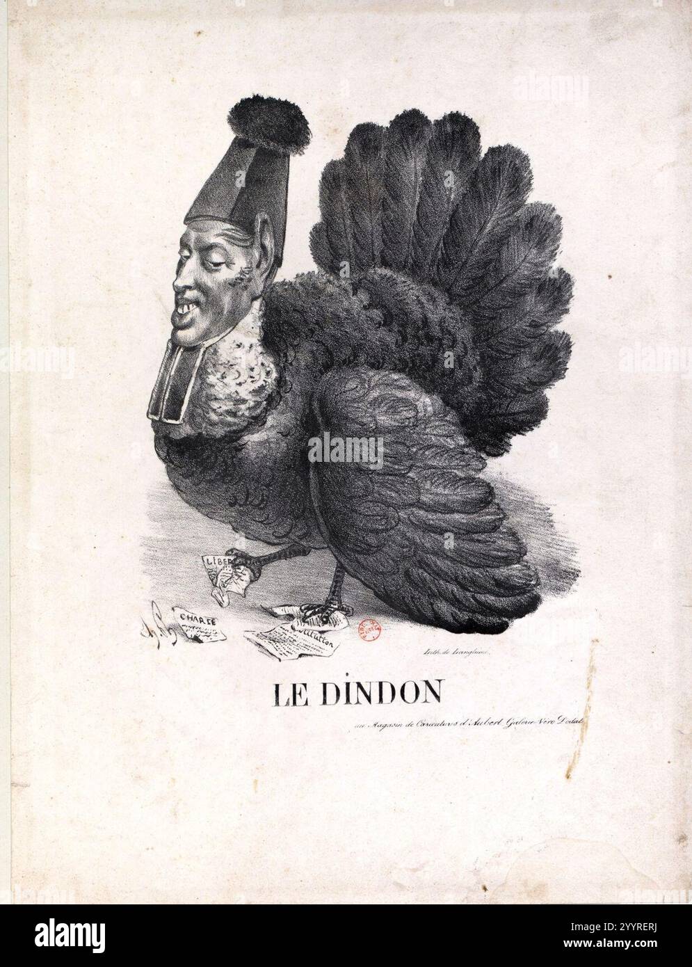 Dindon hi-res stock photography and images - Alamy