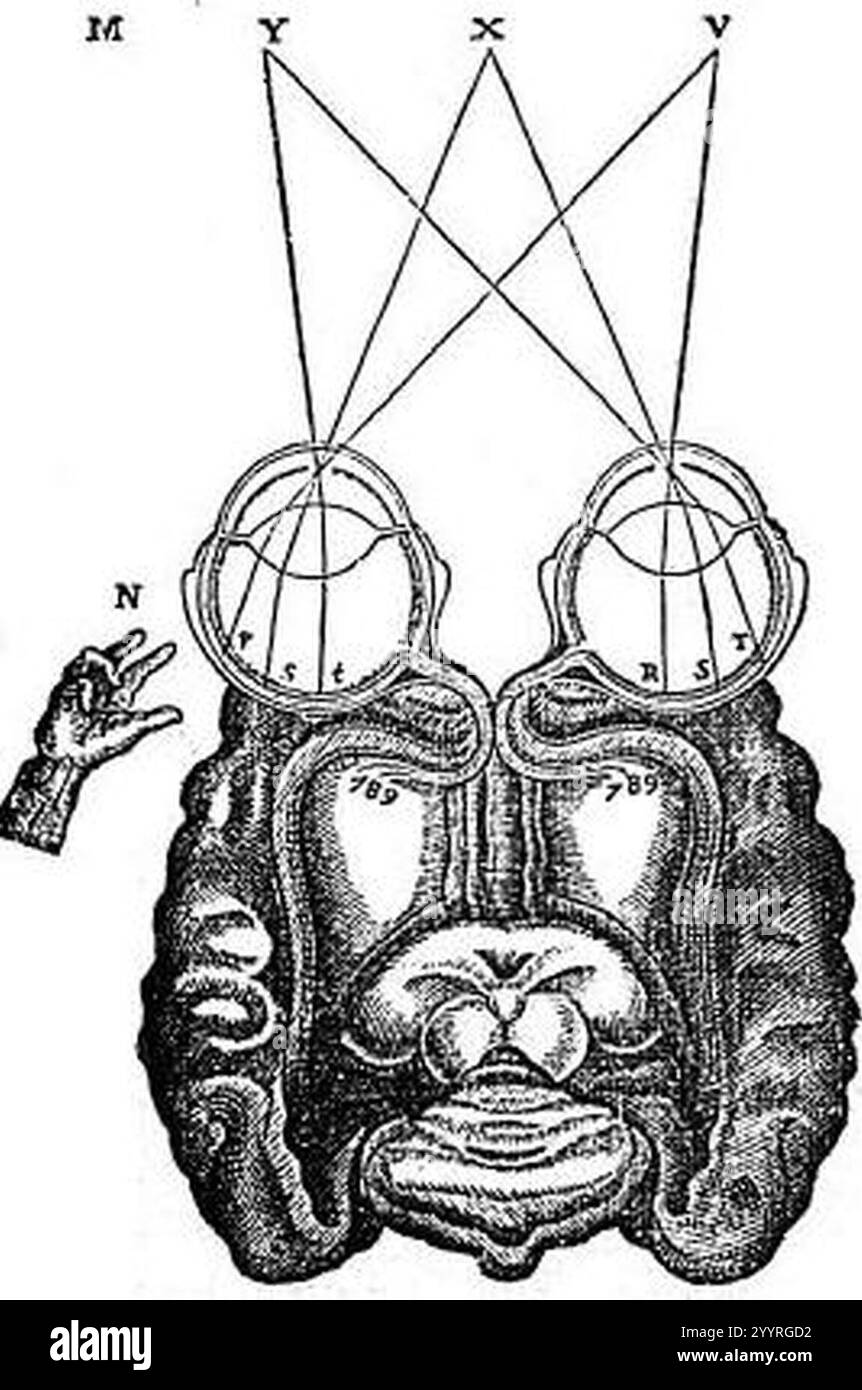 Figure 14 Cut Out Stock Images & Pictures - Alamy