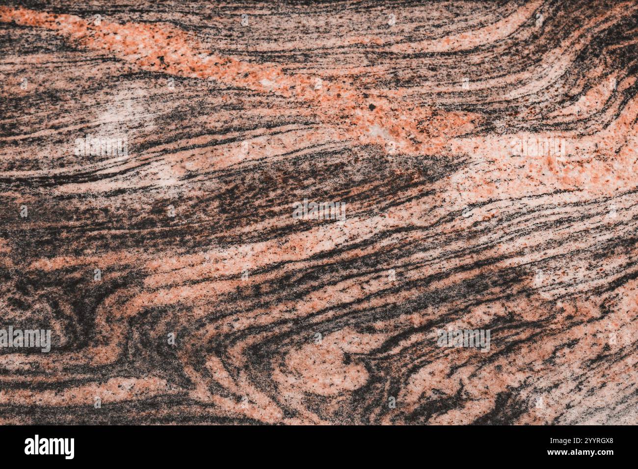 pantone 2025. Stone features various shades of brown and beige with ...