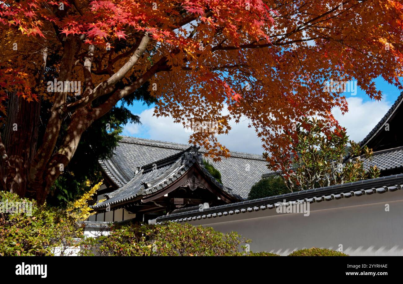 Autumn red maple trees hang over temple wall and buildings at Nanzenji ...