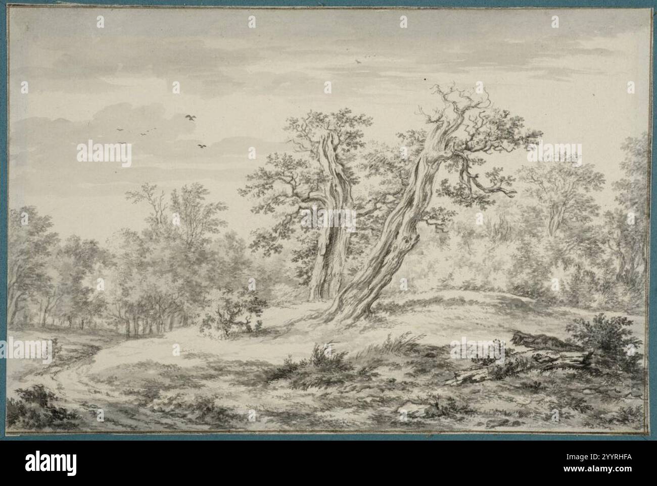 Dirck Dalens II - An Opening in the Woods with Two Old Trees Stock ...