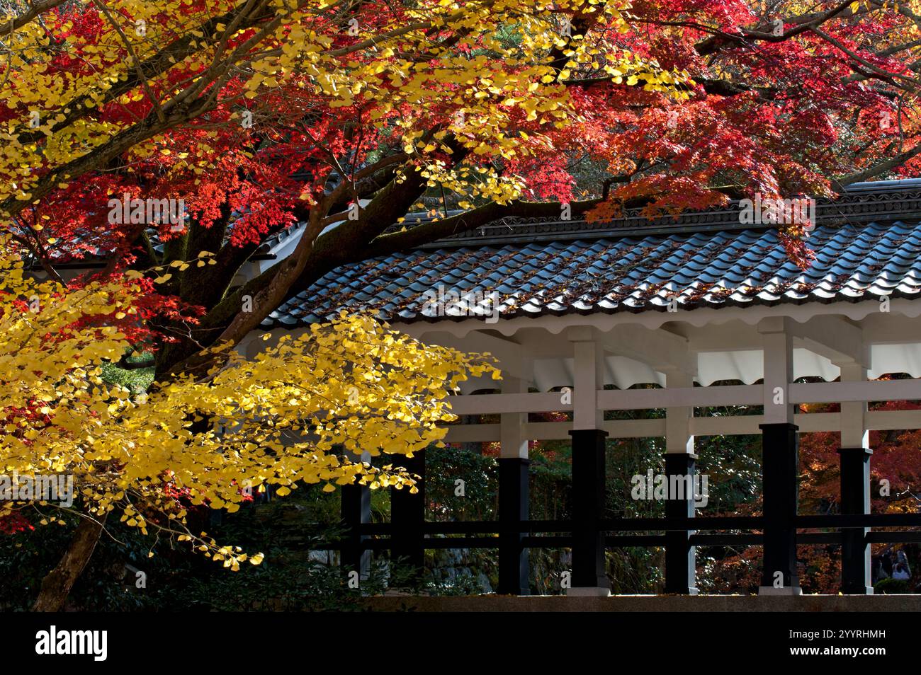 Nanzenji temple lecture hall hi-res stock photography and images - Alamy