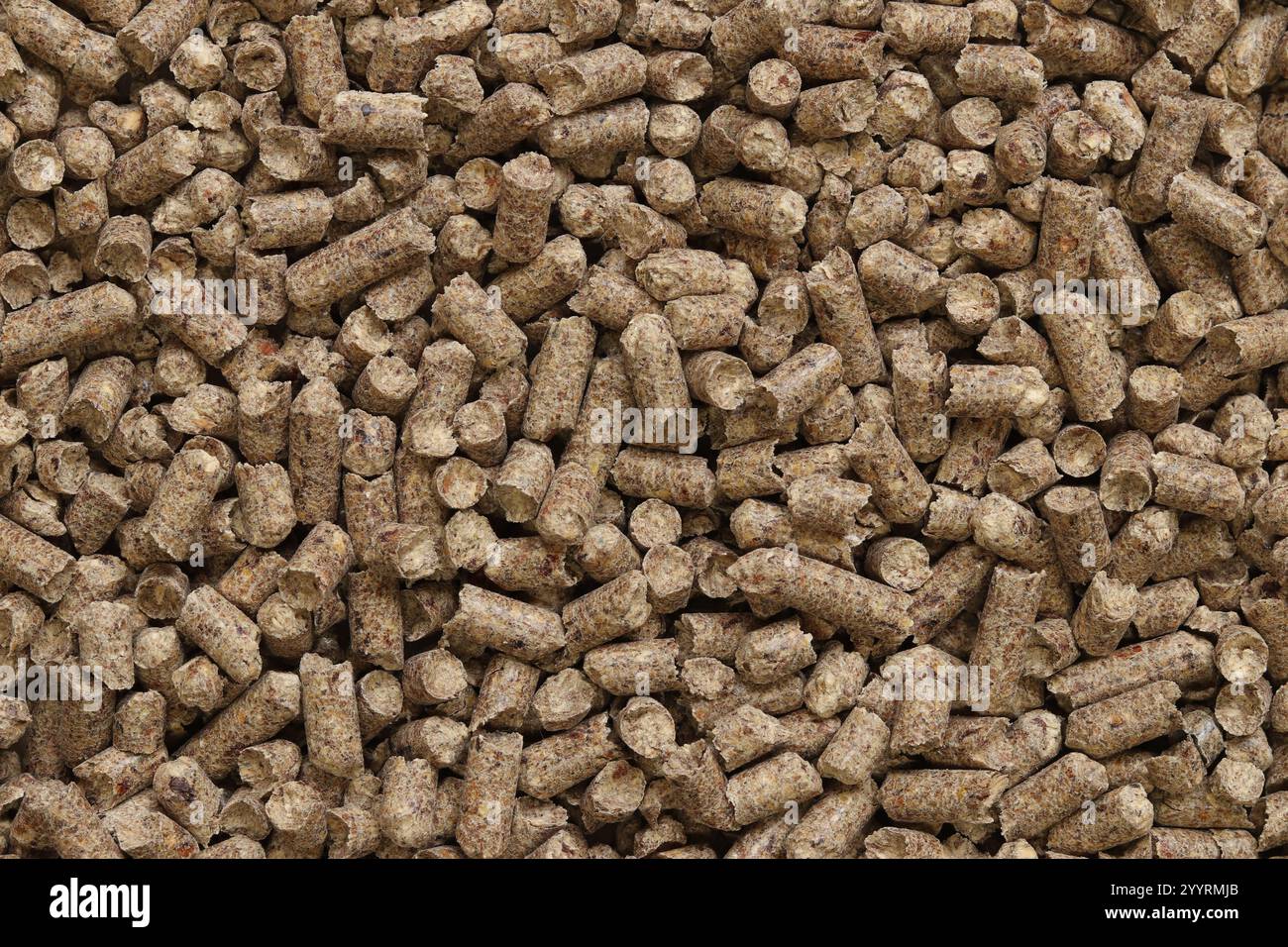 Wood filler for cat toilet, top view. Hygienic filler for pets. Pressed ...