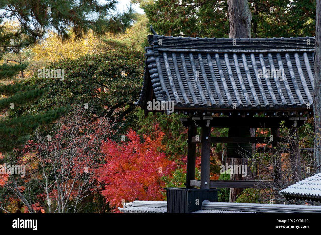 Temple bell tower in autumn at Nanzenji Semmon Dojo complex beside ...