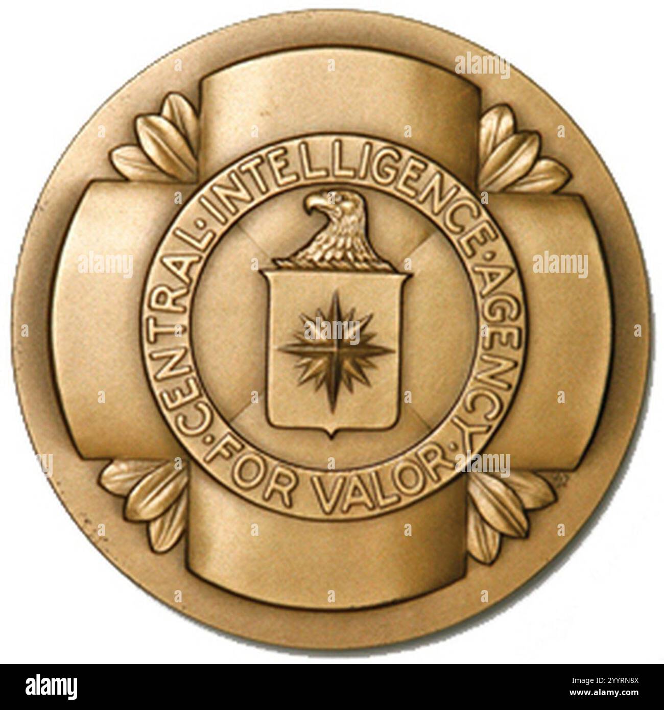 Distinguished Intelligence Cross of the CIA Stock Photo - Alamy