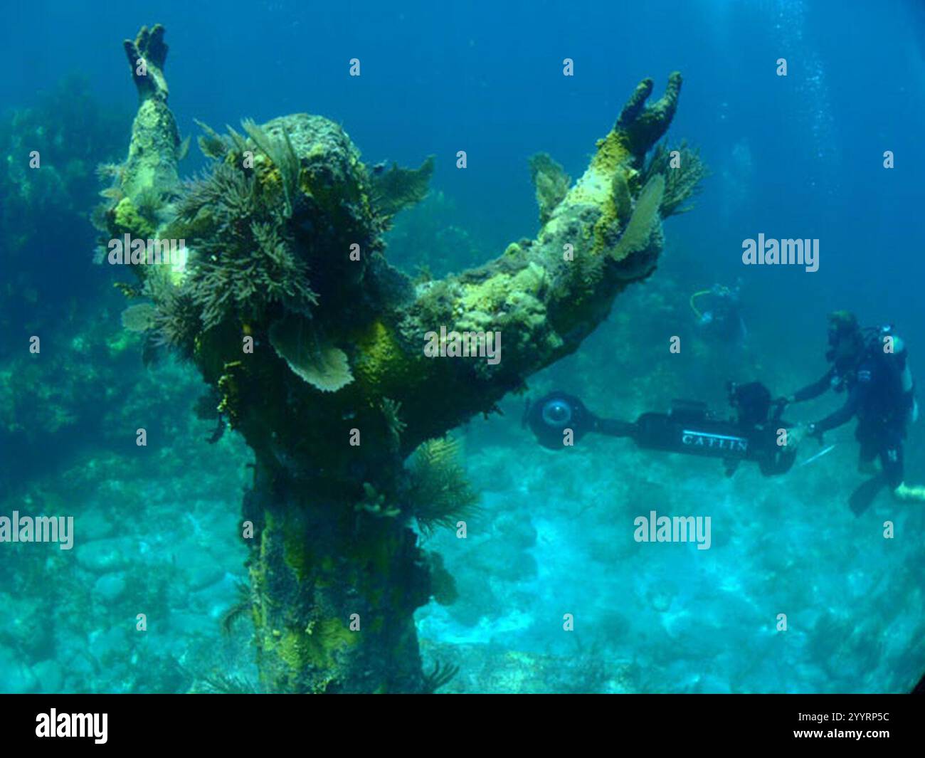 Diver capturing The Christ of the Abyss statue in the Florida Key Stock ...