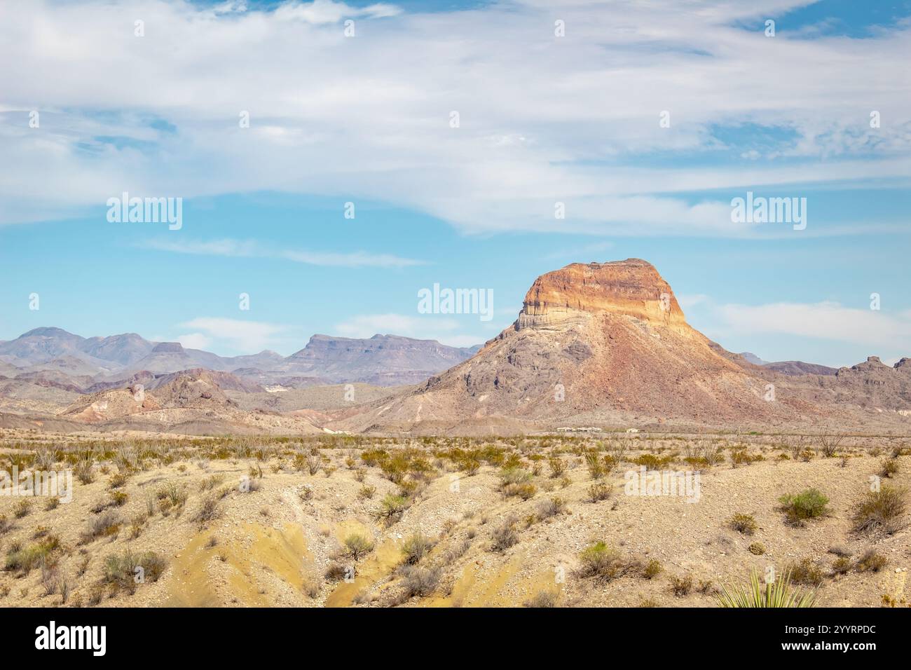 Mountain and desert grass field view at Big Bend National Park Texas ...