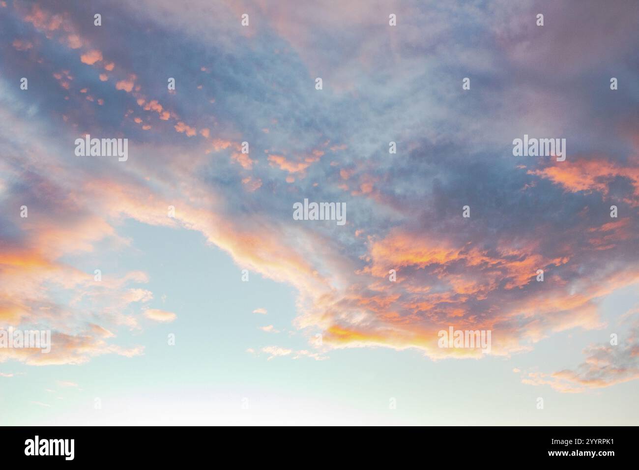 Dramatic pink sunset over the grass fields in the Big Bend National ...