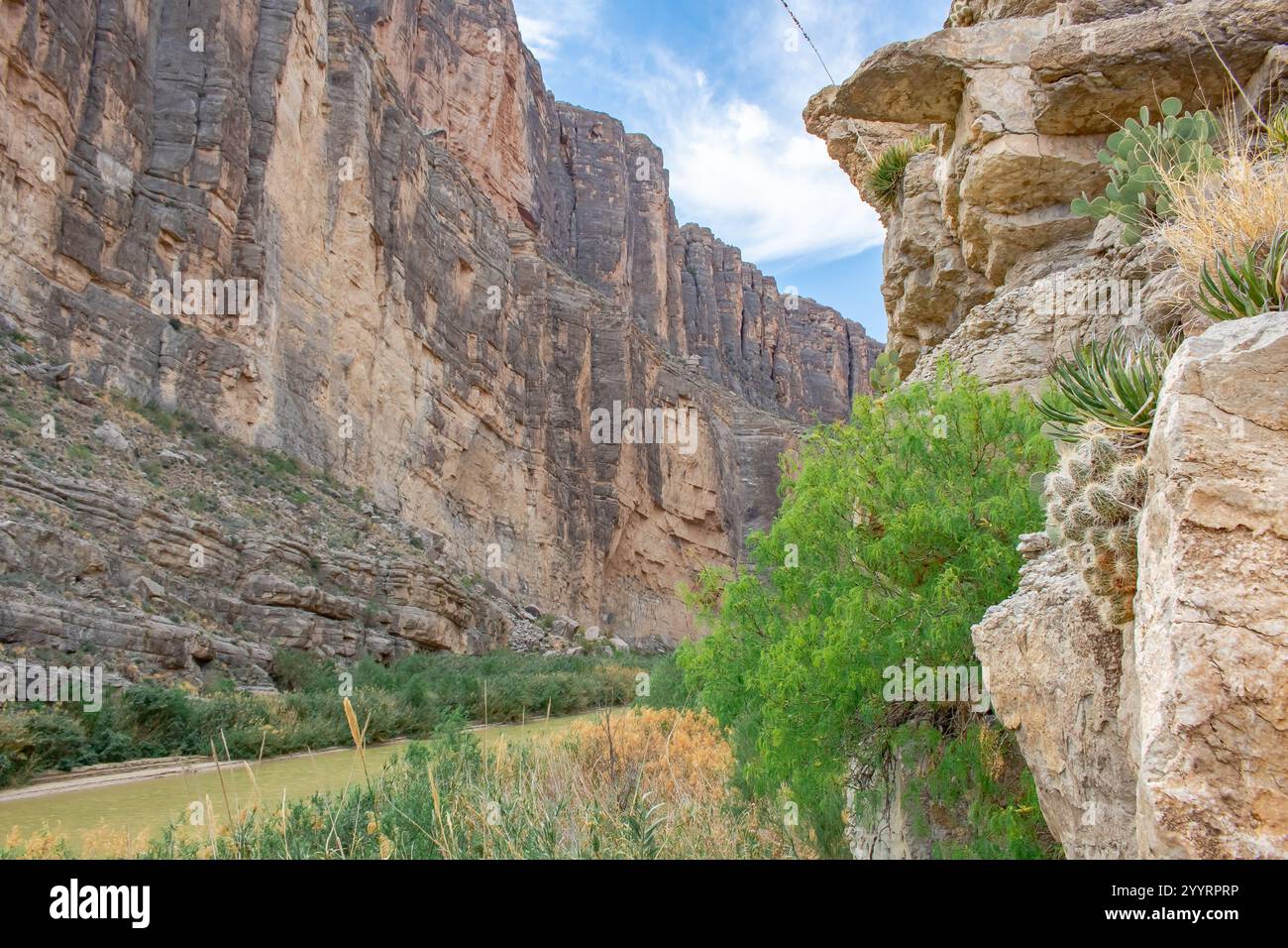 Canyon vista rock cliff view of the desert at Big Bend National Park in ...